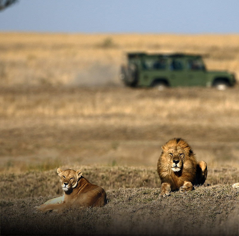 Morocco - Songland Travel Services